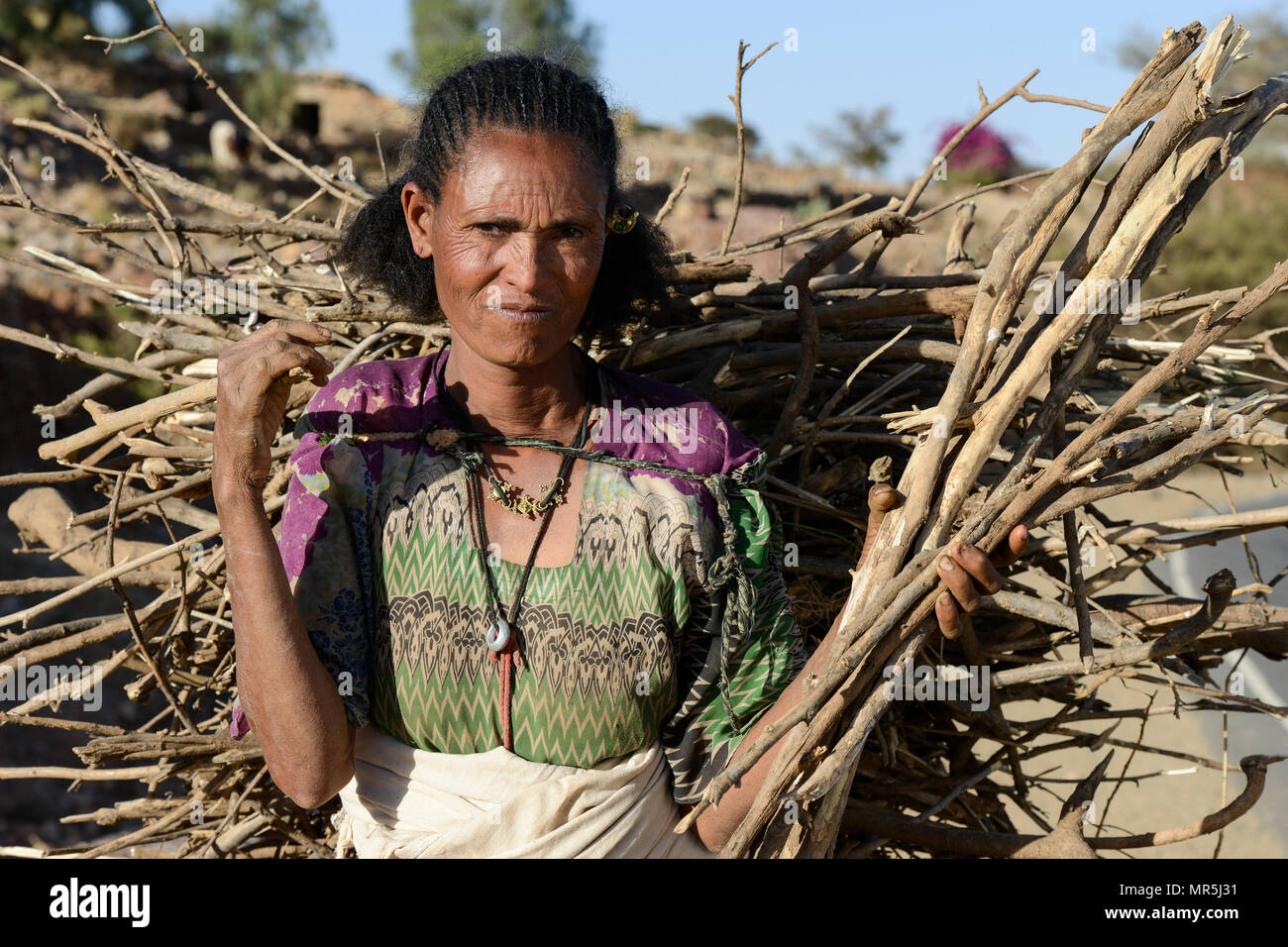 Tigray style hair hi-res stock photography and images - Alamy