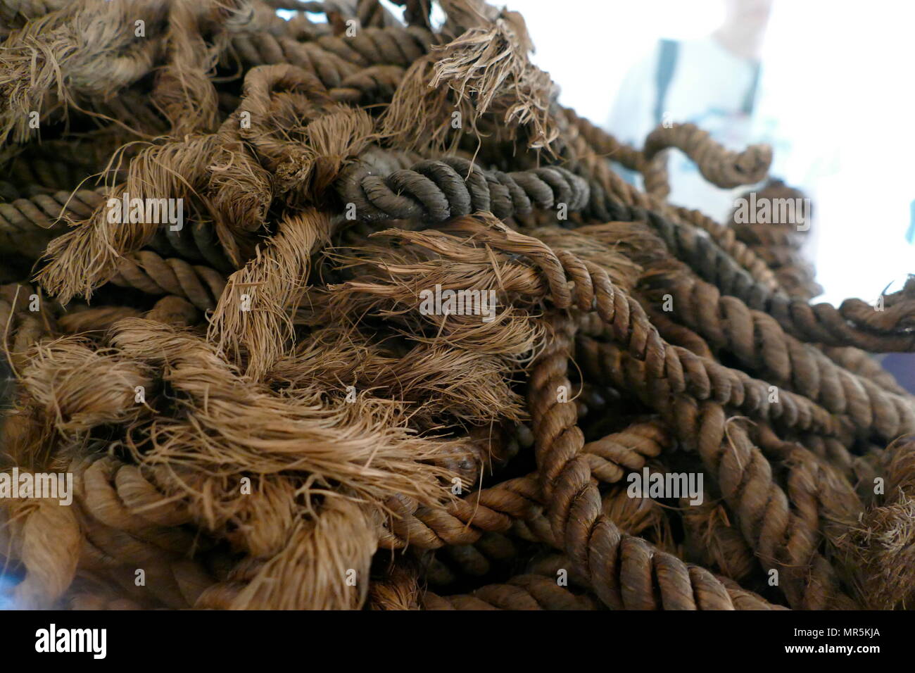 Rope used on the Khufu ship, (Solar Ship), from Ancient Egypt, was ...