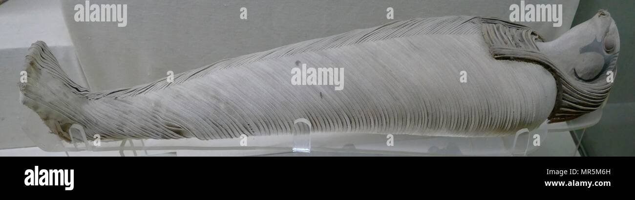 747 500 hi-res stock photography and images - Alamy