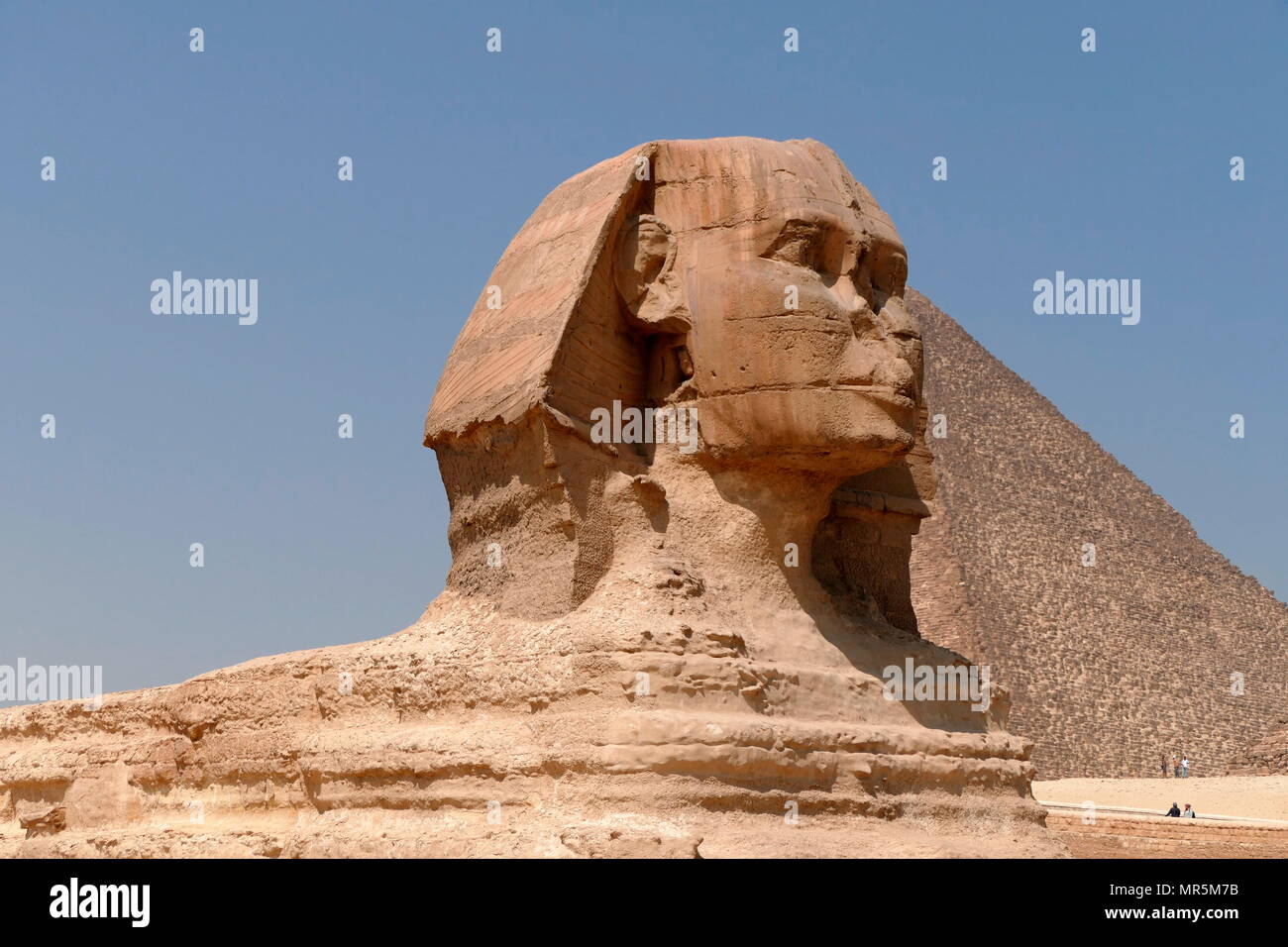 The Great Sphinx of Giza. limestone statue of a reclining sphinx, a ...