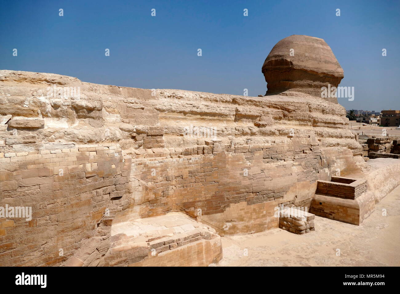 The Great Sphinx of Giza. limestone statue of a reclining sphinx, a ...