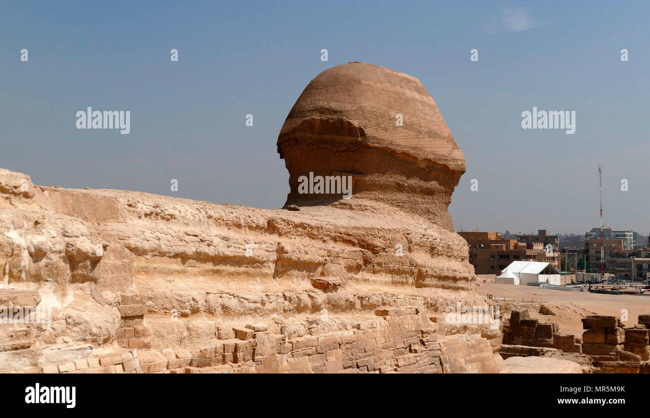 The Great Sphinx of Giza. limestone statue of a reclining sphinx, a ...