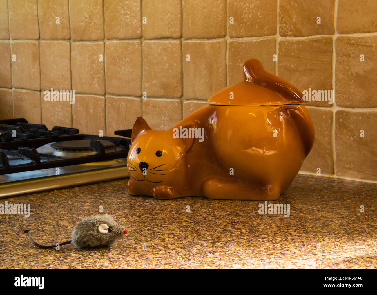 Domestic kitchen pest control hi-res stock photography and images - Alamy