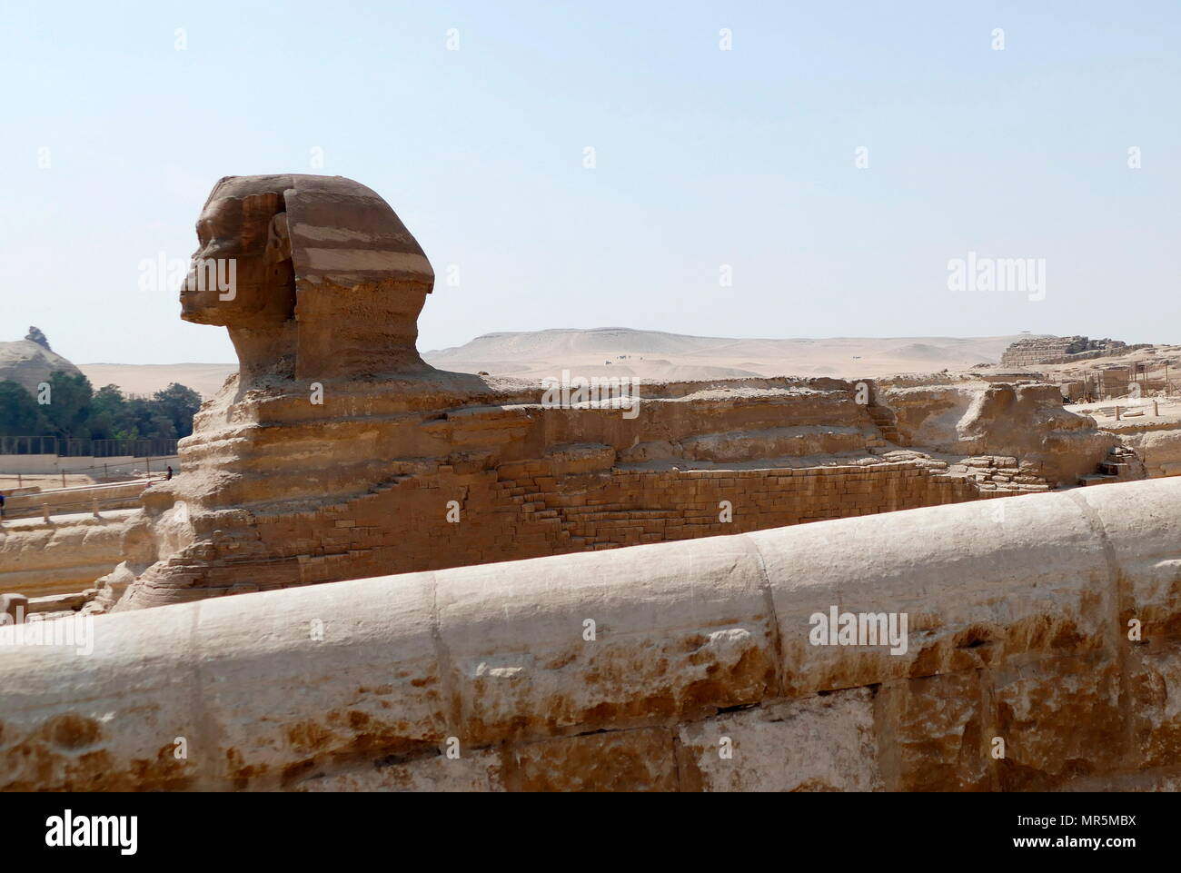 The Great Sphinx of Giza. limestone statue of a reclining sphinx, a ...