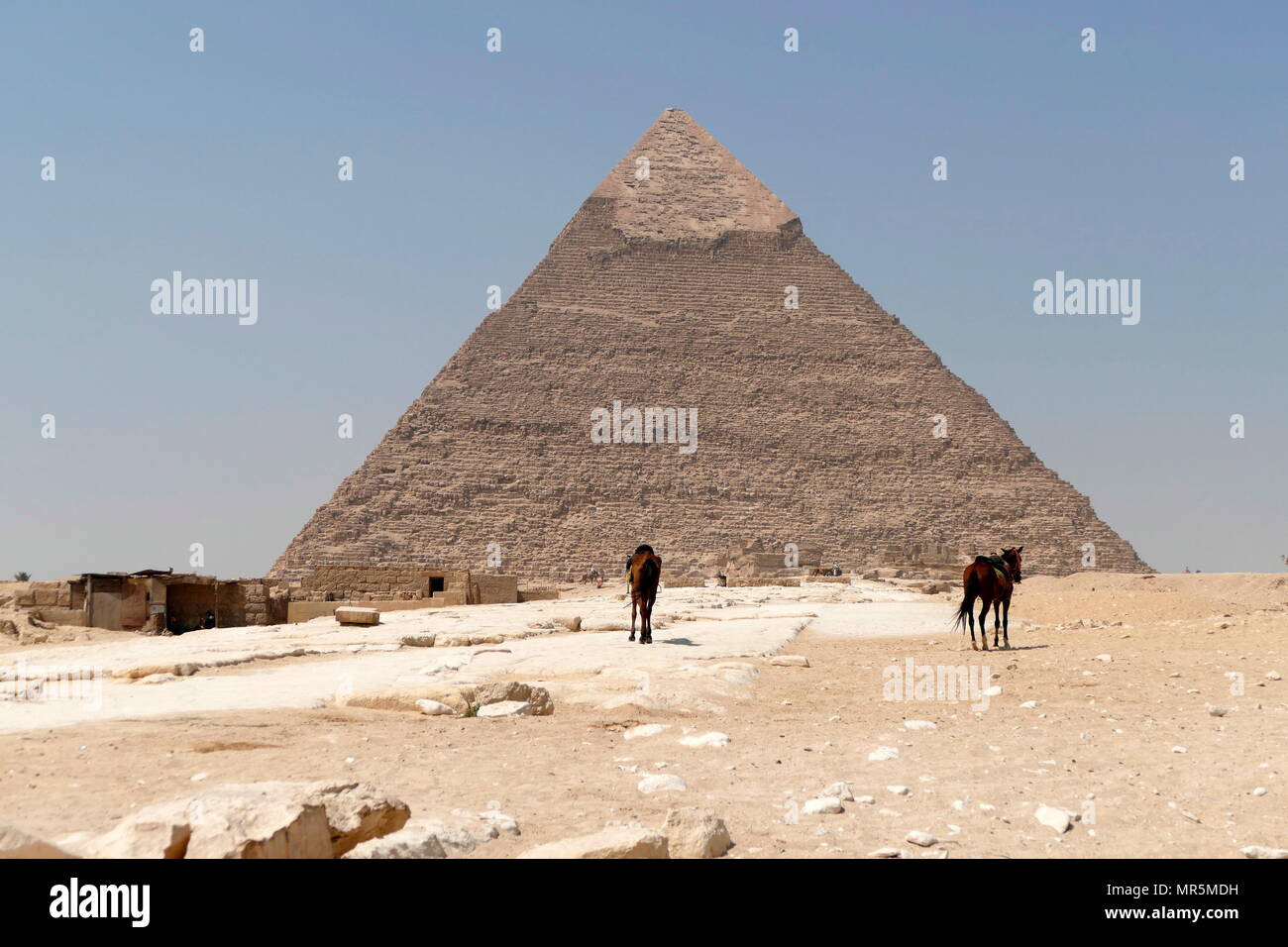 Pyramid of Khafre or of Chephren, is the second-tallest and second ...