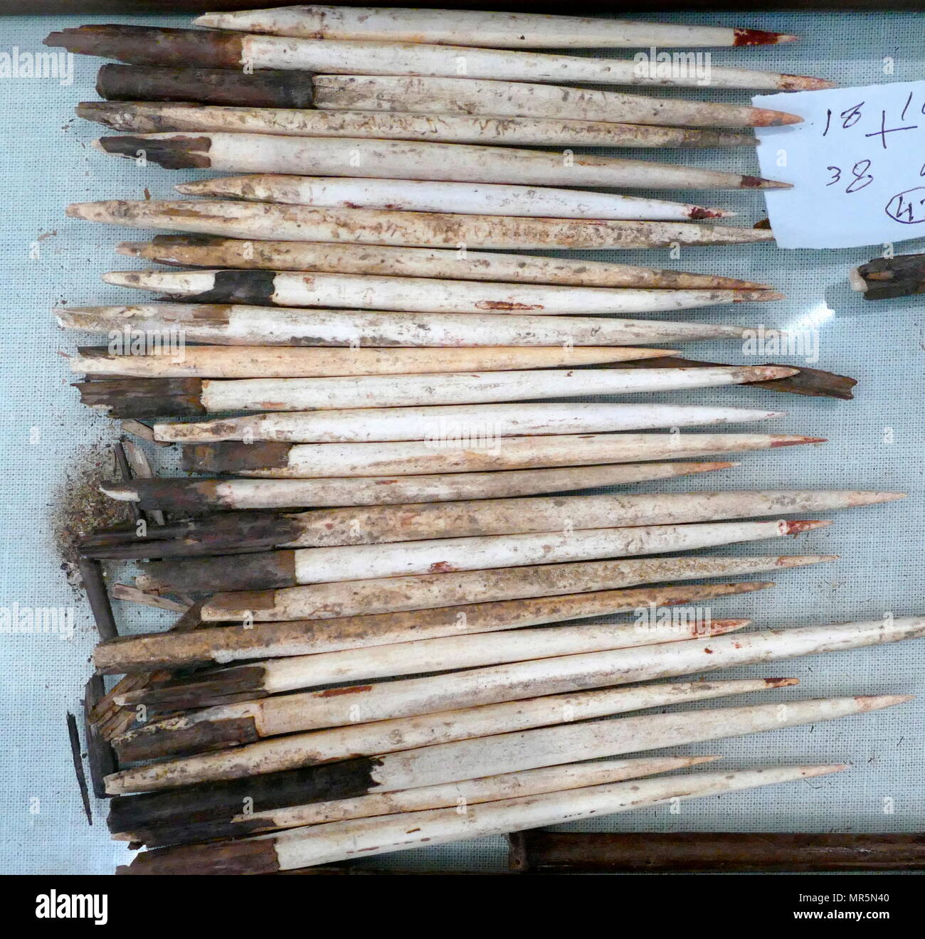 18th dynasty ancient Egyptian arrow heads of reed and bone, some with ...