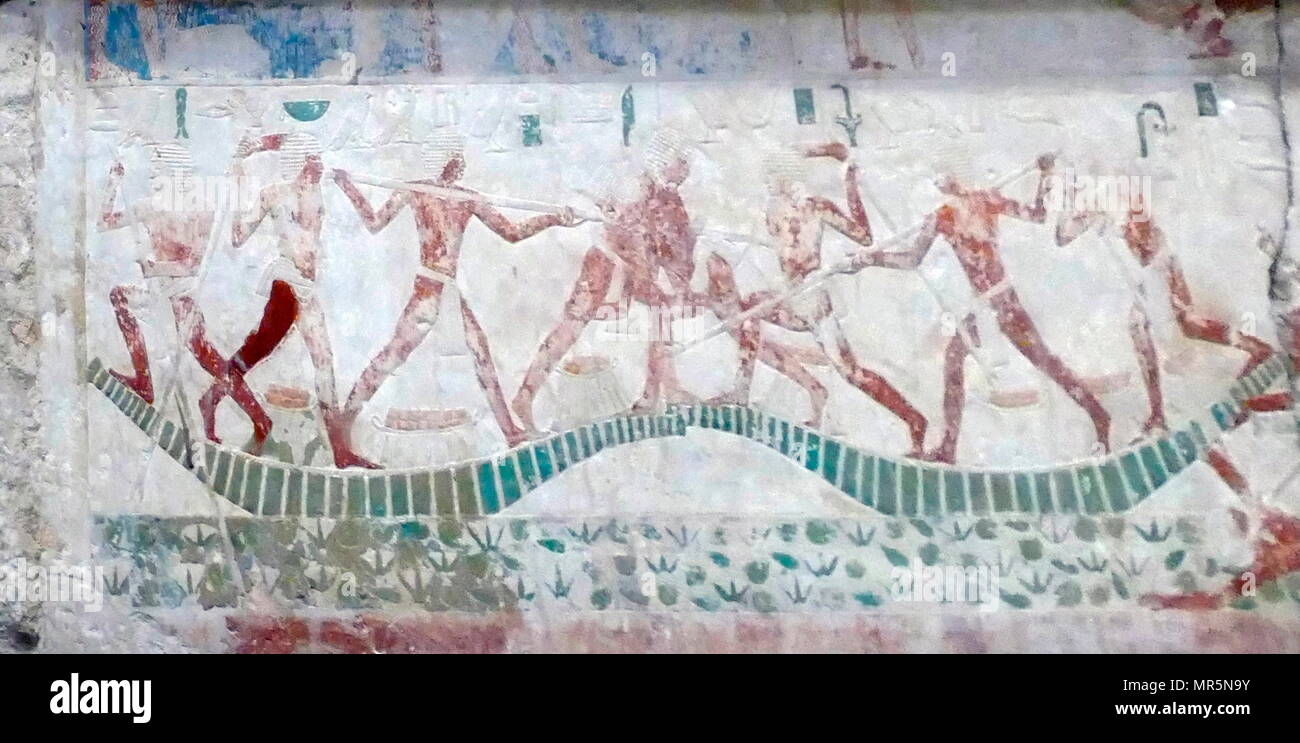 5th Dynasty painted relief from a Mastaba showing reed boats carrying ...