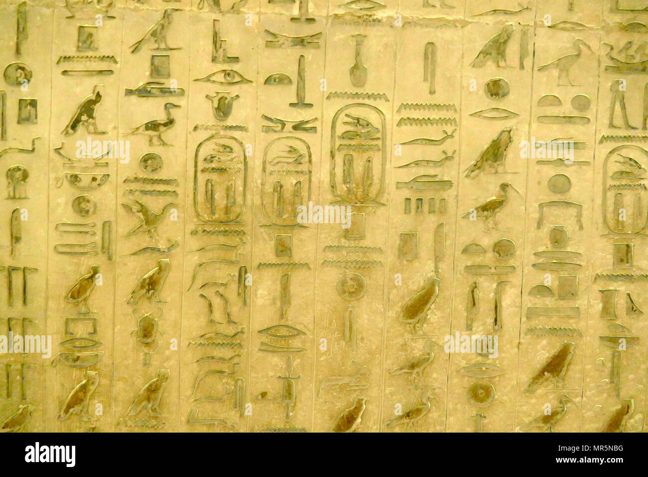 Pyramid complex of unas hi-res stock photography and images - Alamy