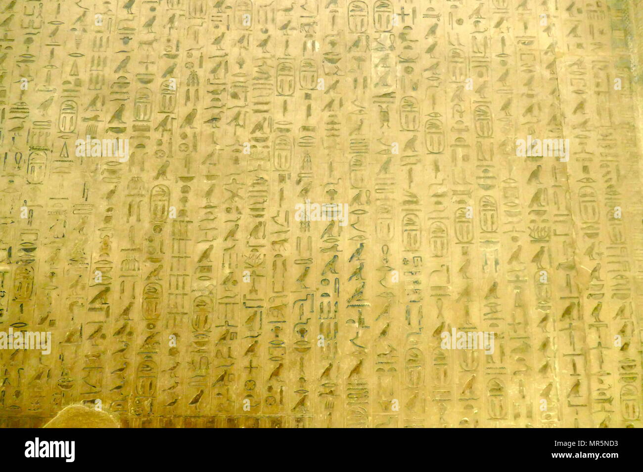 reliefs inside the Pyramid Complex of Unas, at Saqqara, near Cairo in ...