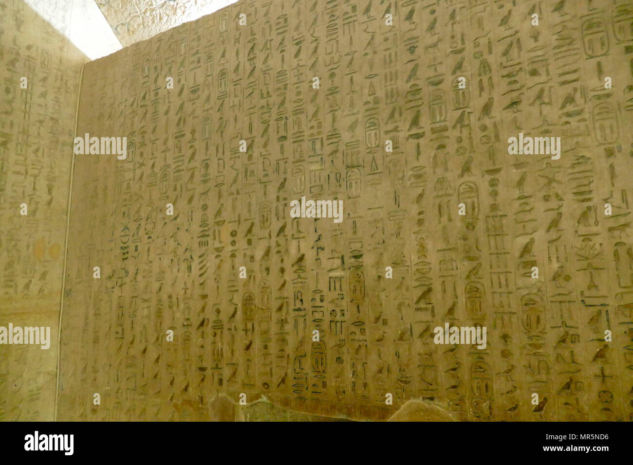 reliefs inside the Pyramid Complex of Unas, at Saqqara, near Cairo in ...