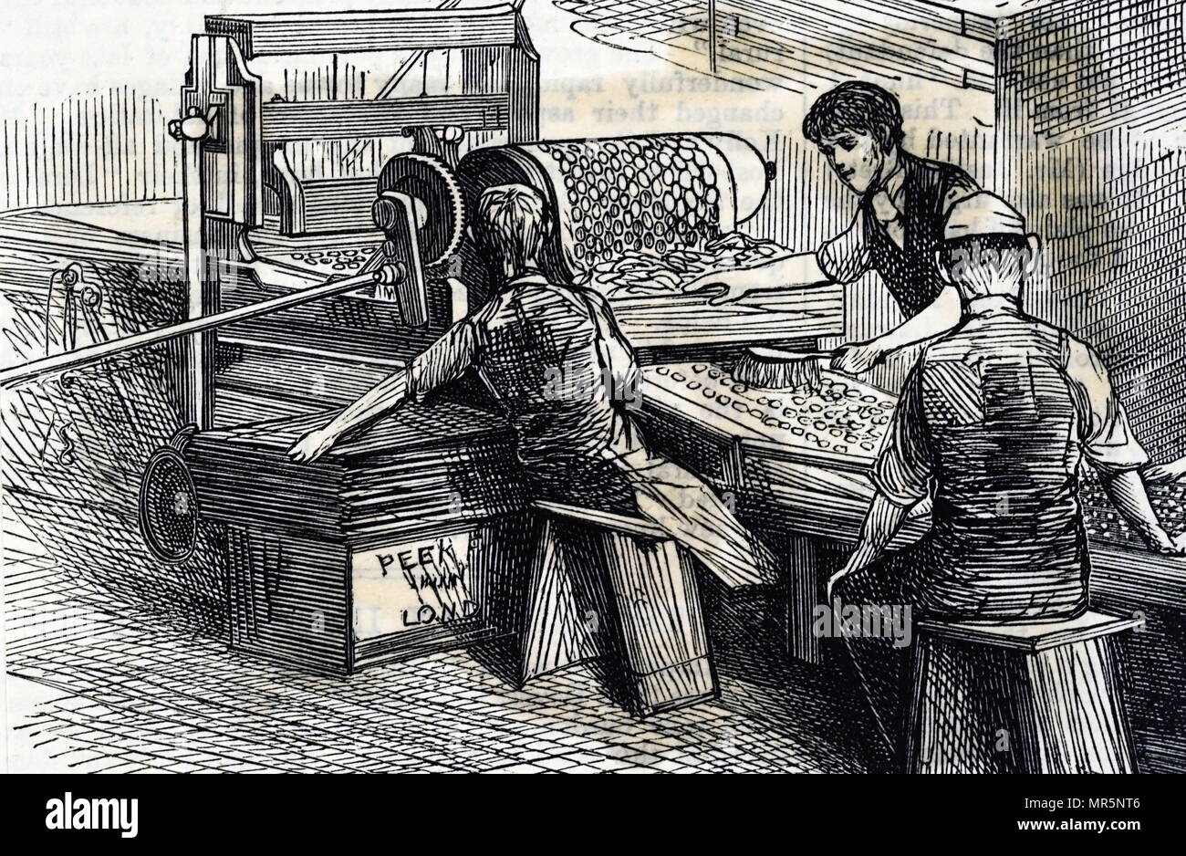 Engraving depicting a biscuit cutting machine of the Peek Frean & Co.'s ...