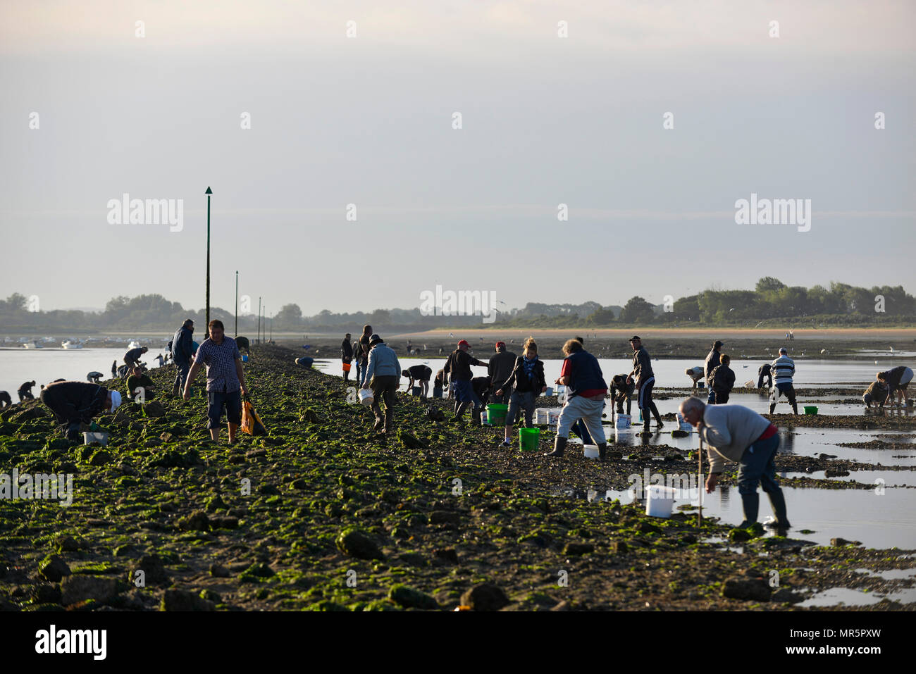 Ouistreham (Normandy, north-western France): shore fishing, fishing ...