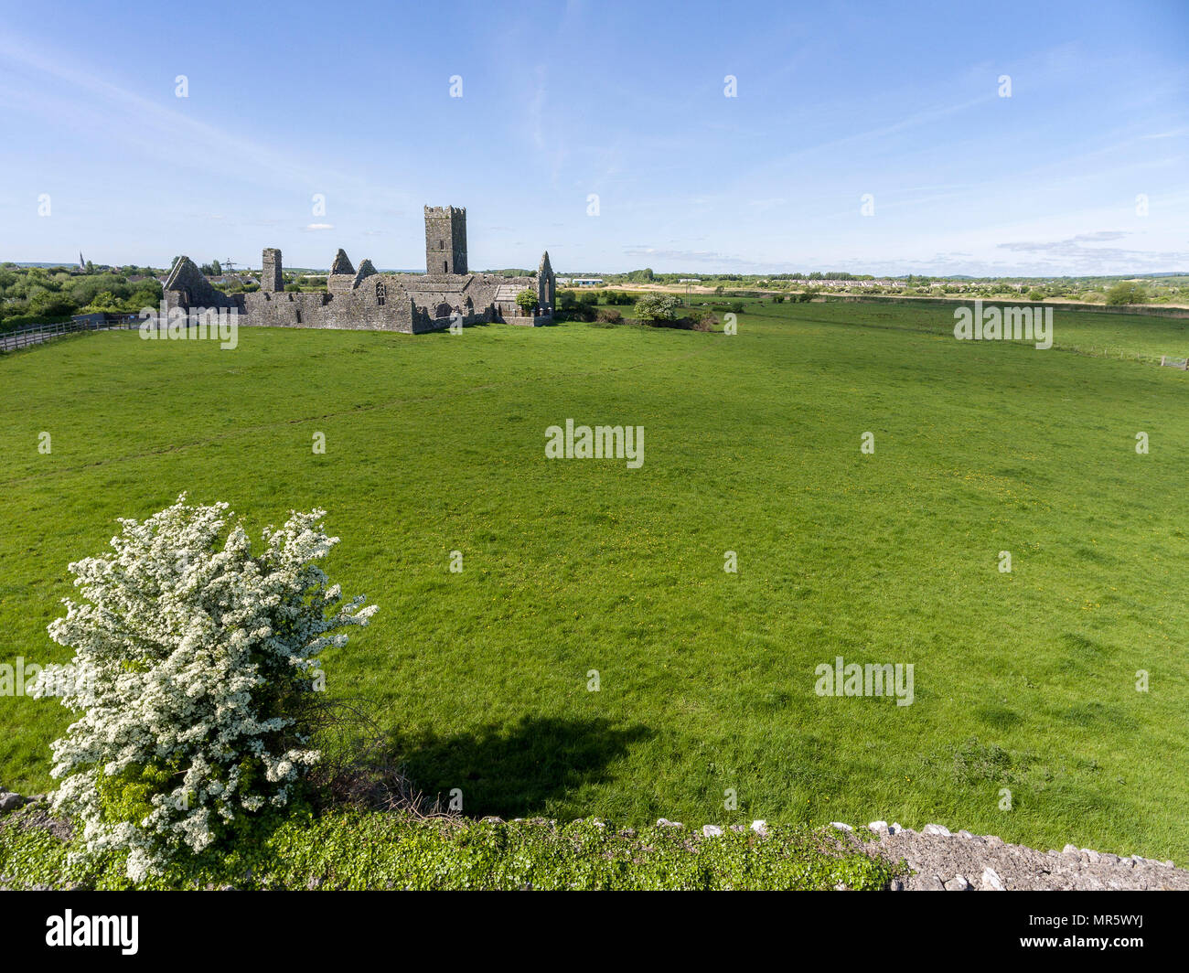 Beautiful scenic old ruins of Clare Abbey in County Clare, Ireland ...