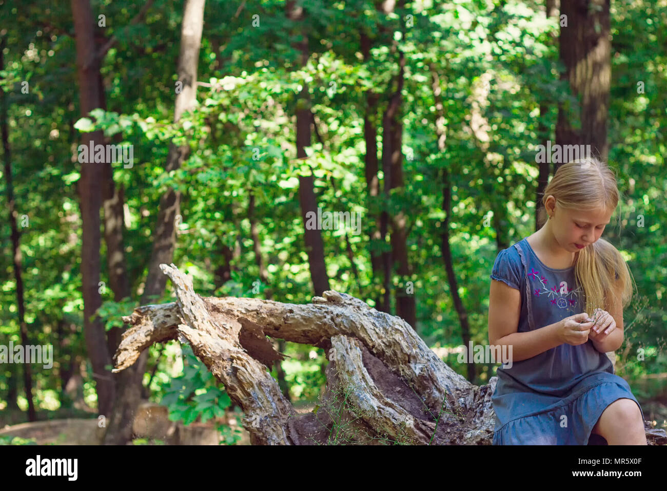 Girl sitting on a tree stump in a forest Stock Photo - Alamy