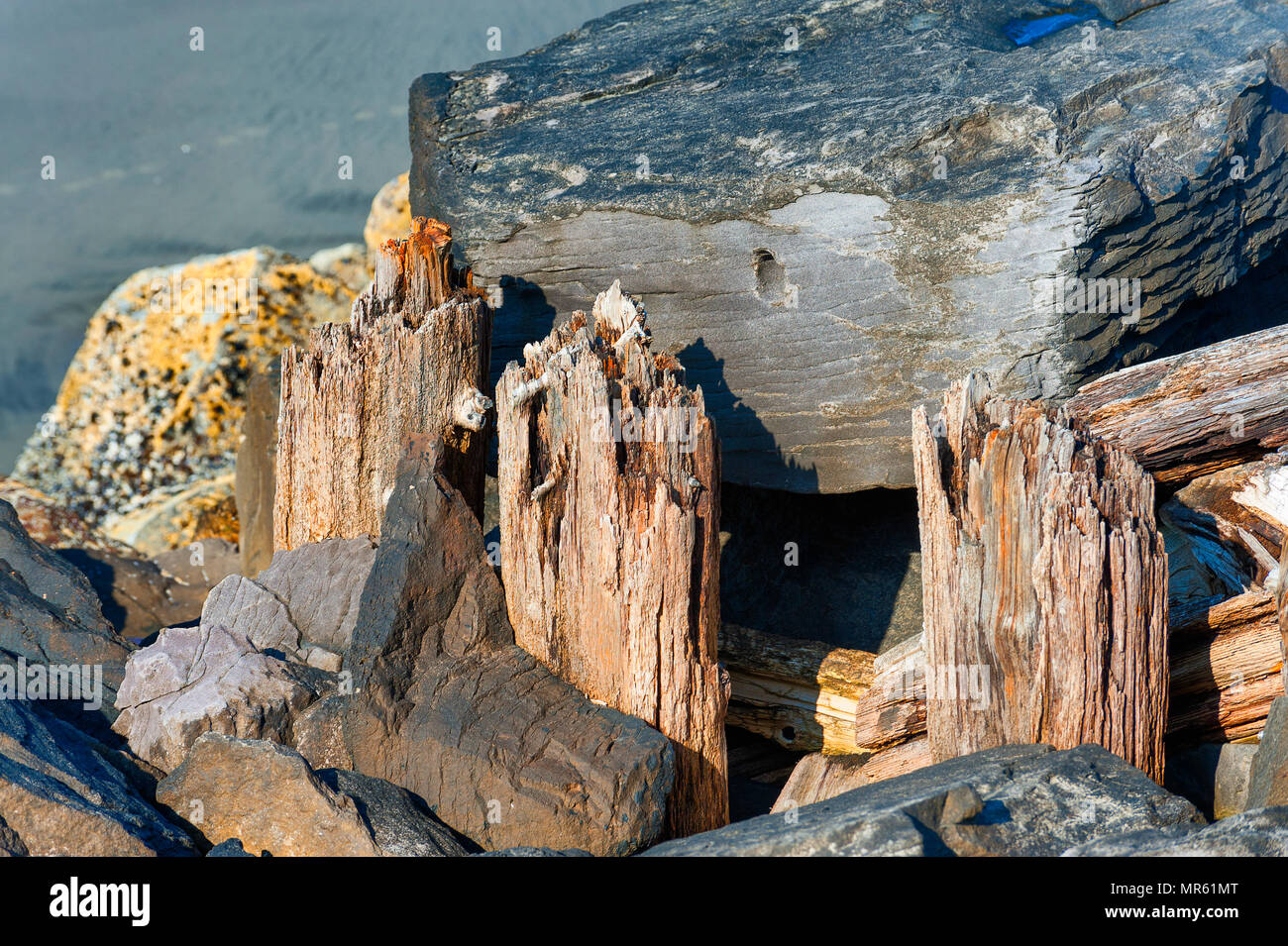 Close up of rocks and wood that are used to build the jetty in ...