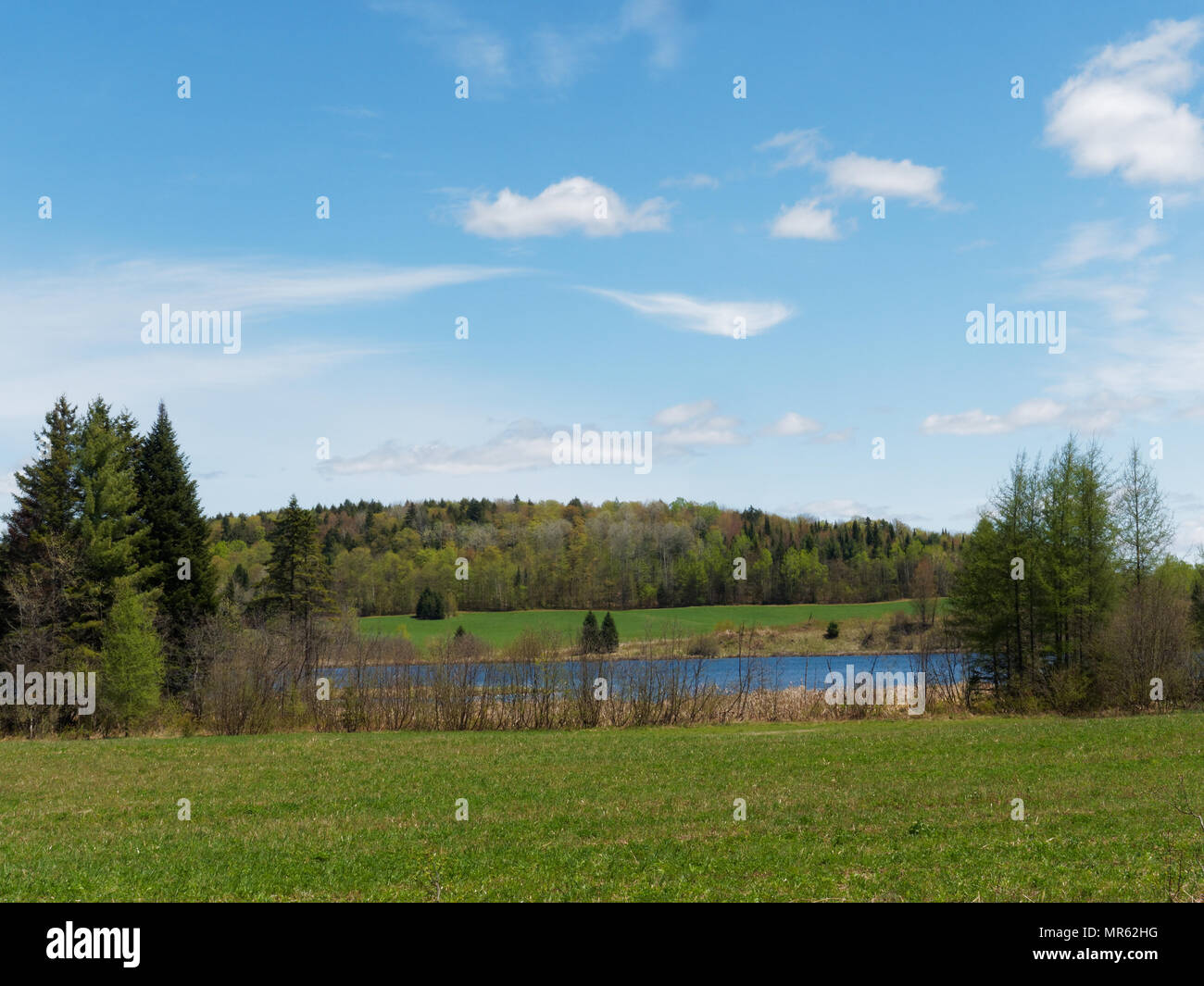 Quebec, Canada. Farm fields in the summertime Stock Photo - Alamy