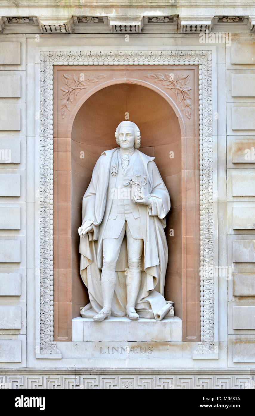 London, England, UK. Statue on facade of No 6 Burlington Gardens (Royal ...