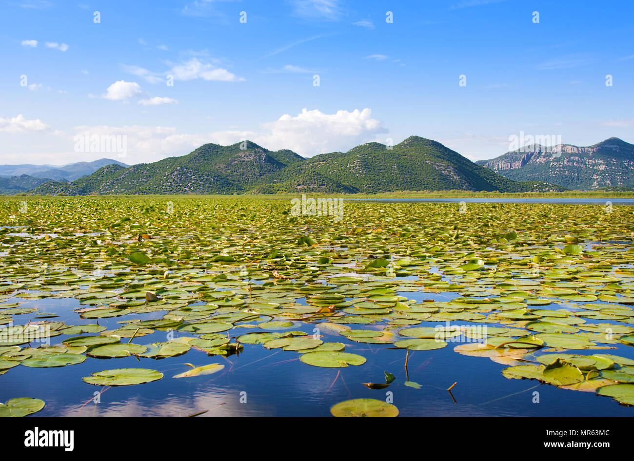 Skadar lake national park hi-res stock photography and images - Alamy