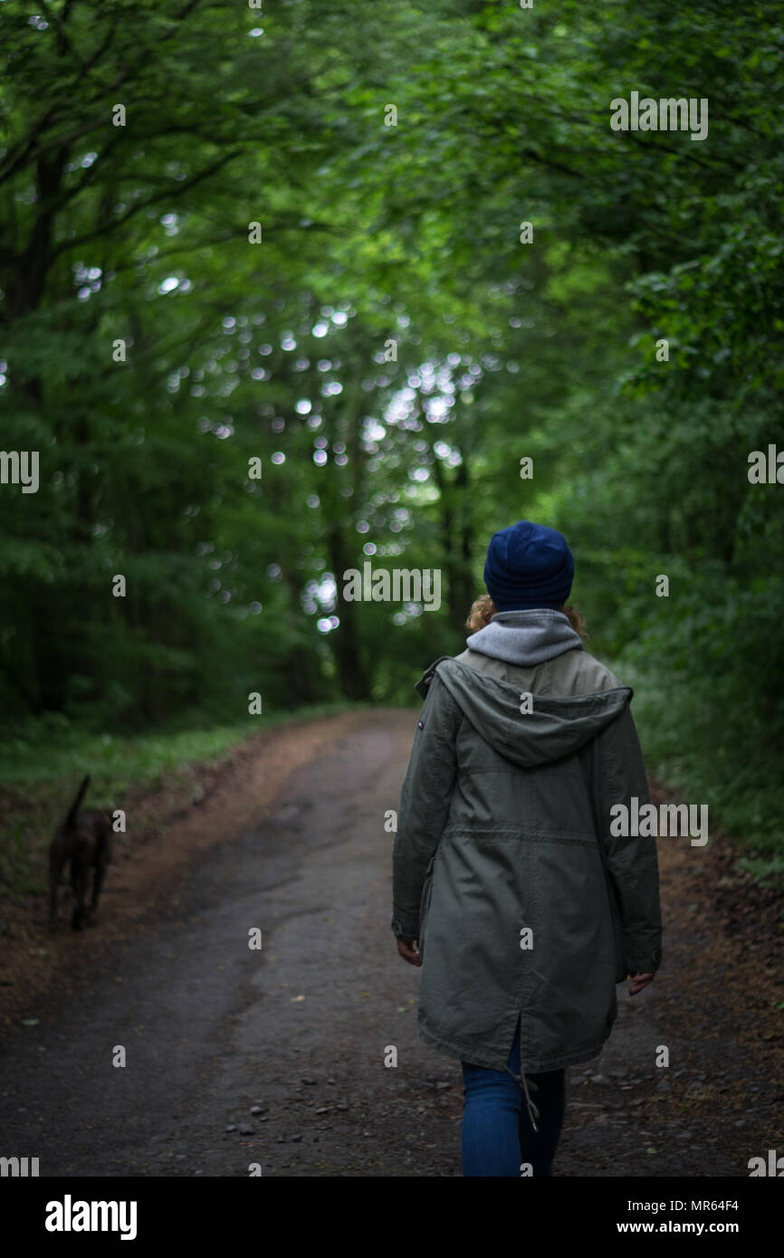Wandering Forest Germany Stock Photo - Alamy