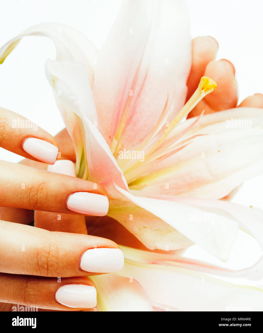 beauty delicate hands with manicure holding flower lily close up ...