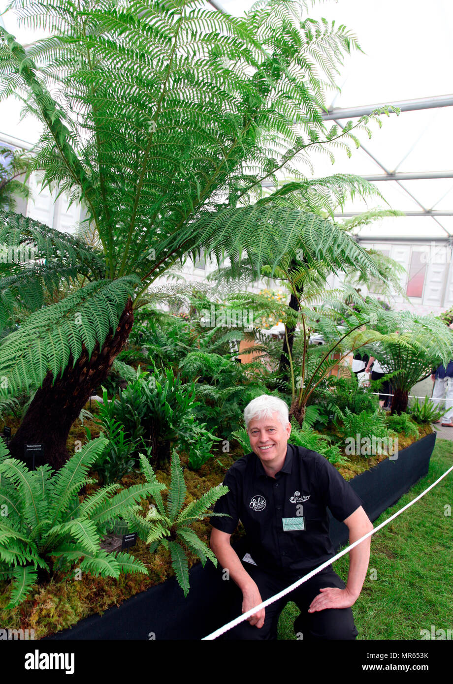 Billy Alexander with his Kells Bay Gardens exhibit at RHS Chelsea ...