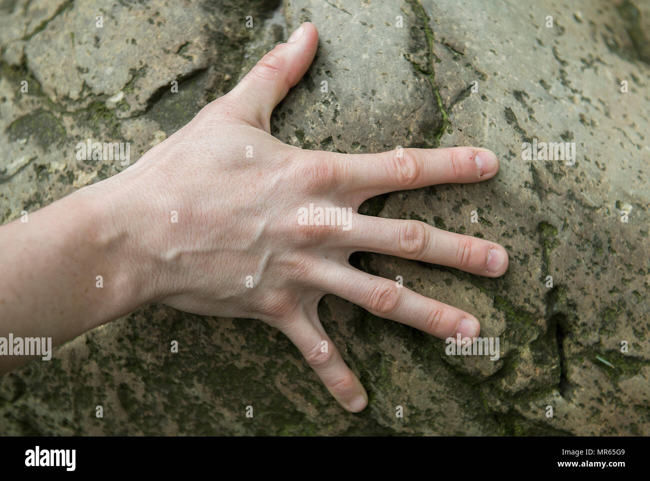 A female Caucasian hand is shown stretched on a rock Stock Photo - Alamy