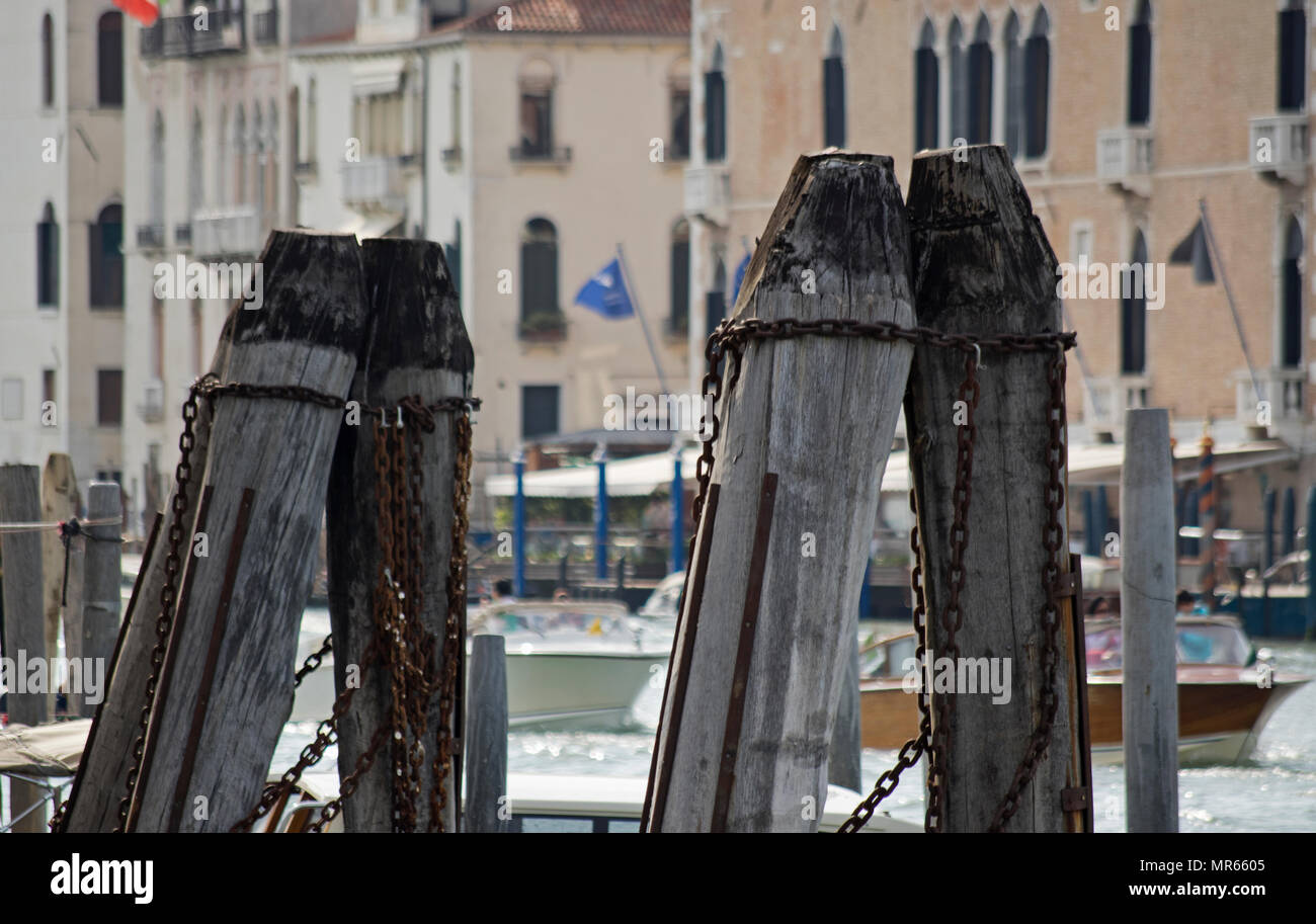 Wooden piles venice hi-res stock photography and images - Alamy