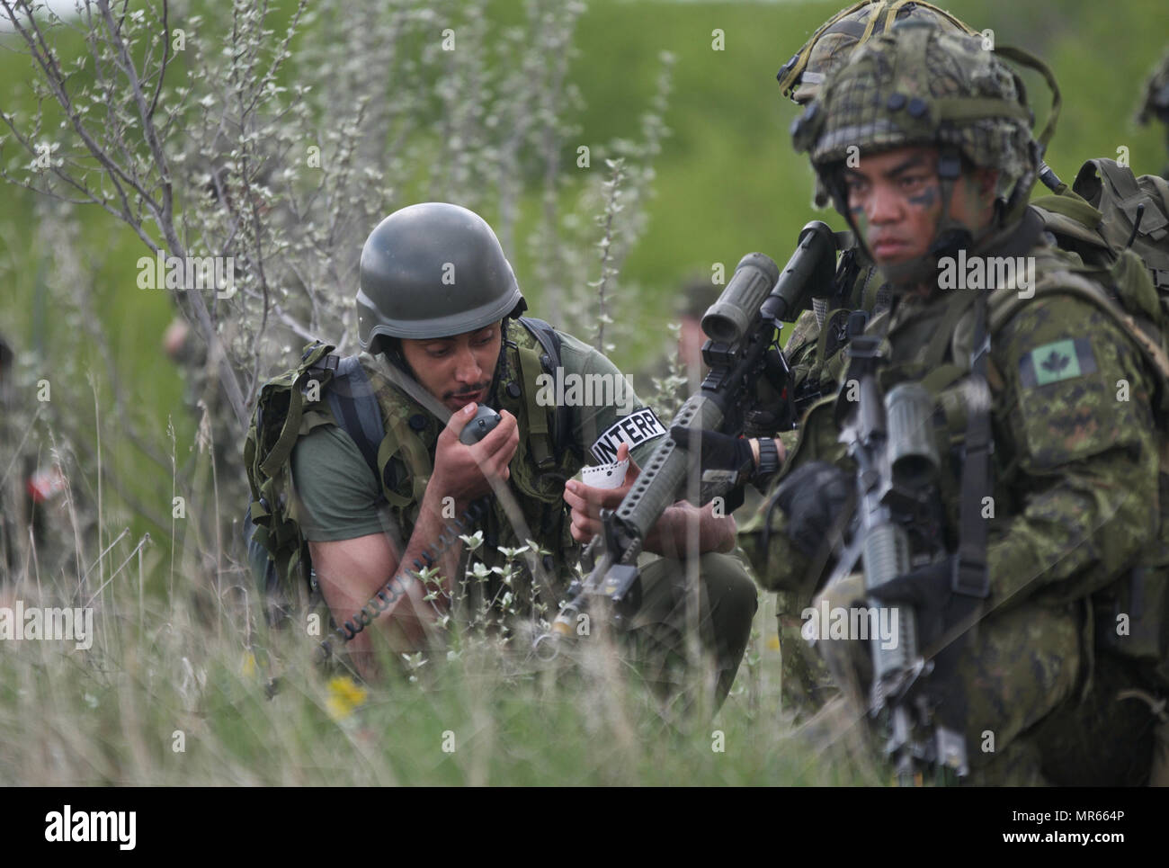 Soldiers of 3 Royal Canadian Regiment participate in a war game ...