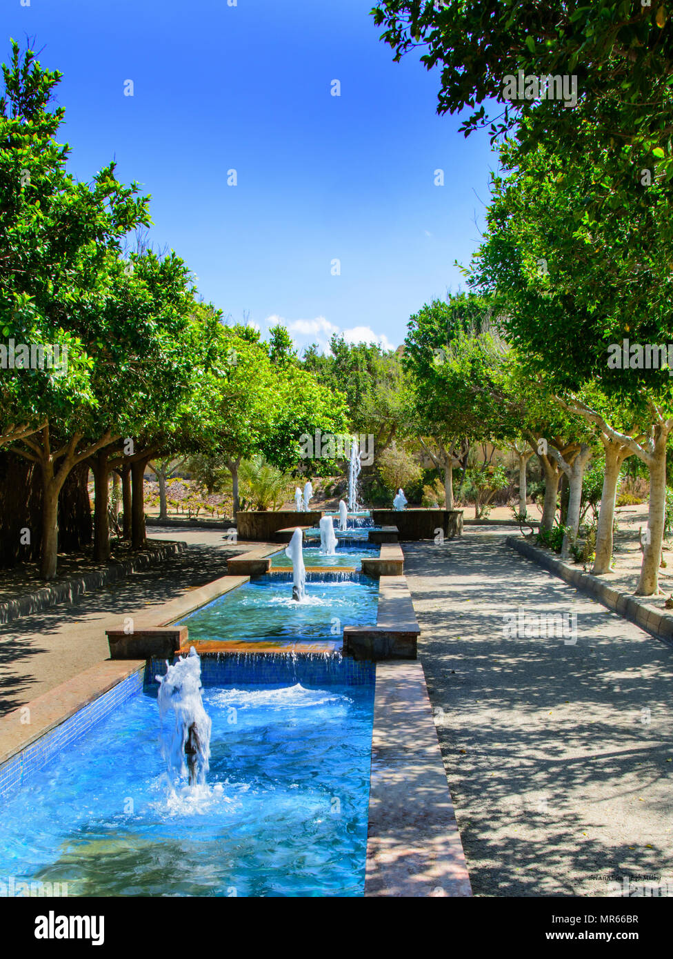 Fountains & Trees Stock Photo - Alamy