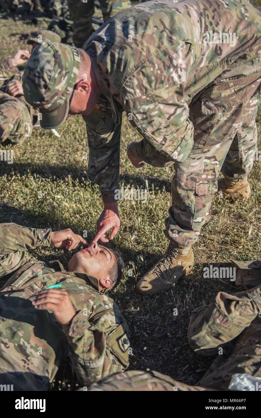 Greek paratroopers with 1st Paratrooper Commando Brigade, Greek Army ...