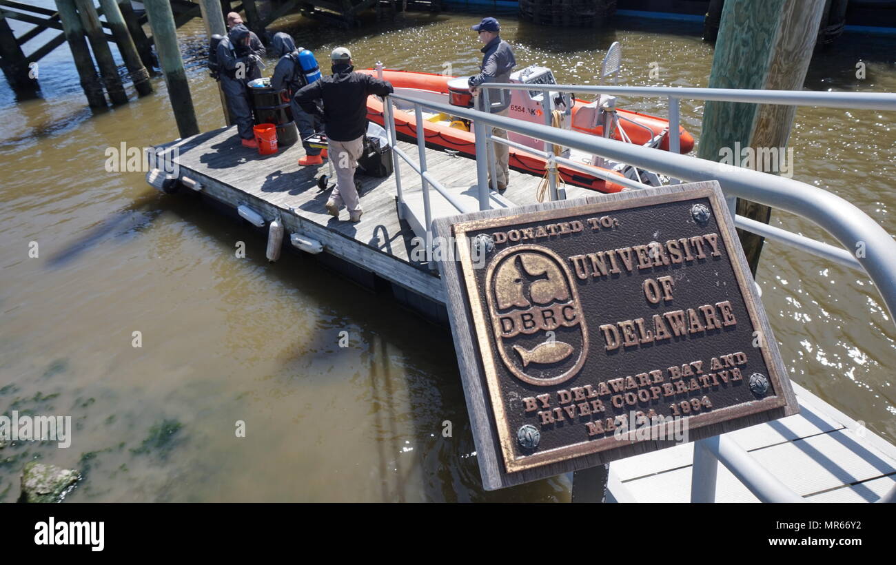 The District of Columbia National Guard’s 33rd Civil Support Team (CST ...