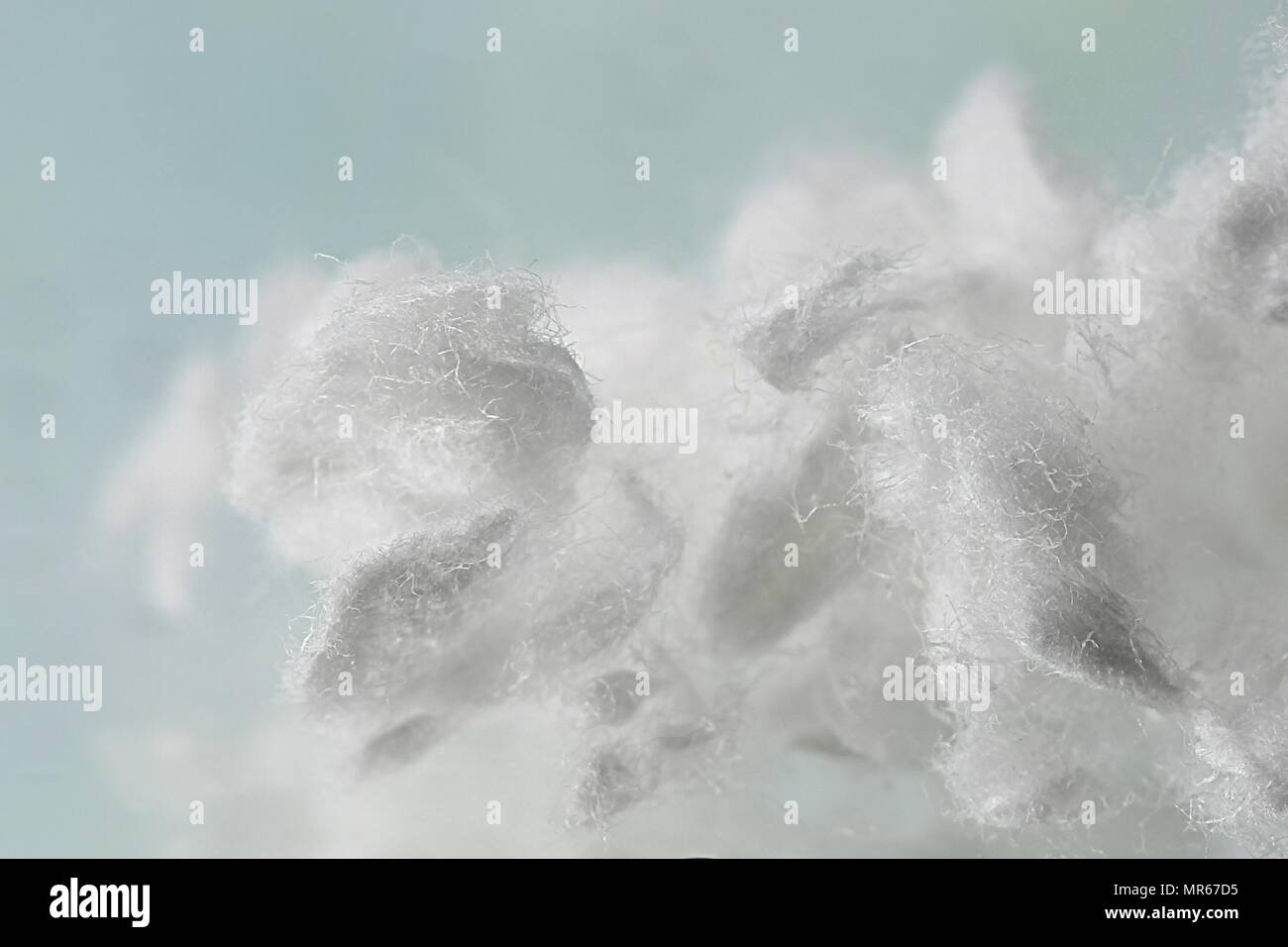 Cellulose fiber paper fibers hi-res stock photography and images - Alamy