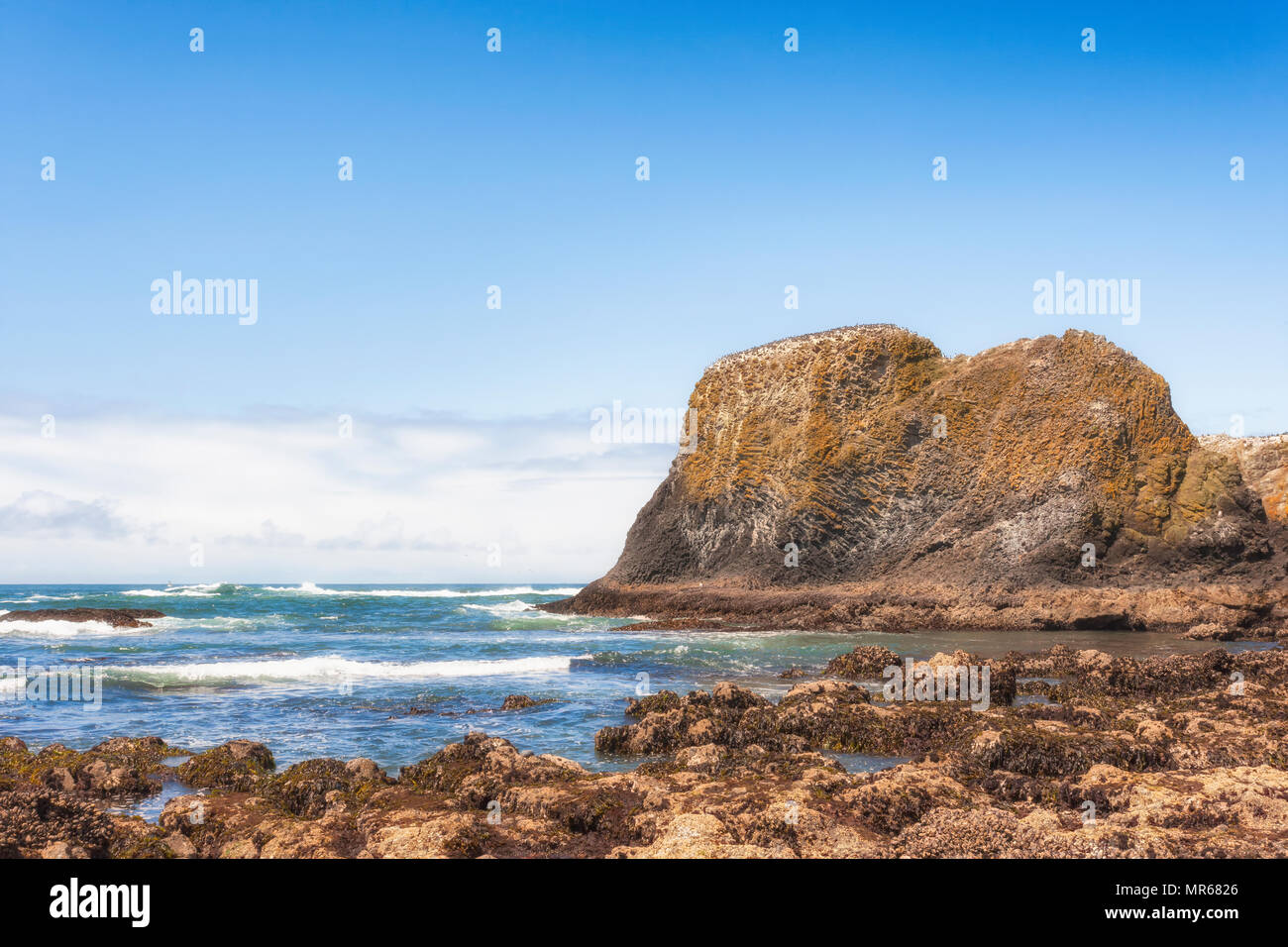 Geological features of Cobble Beach at Yaquina Head State Park, Newport ...