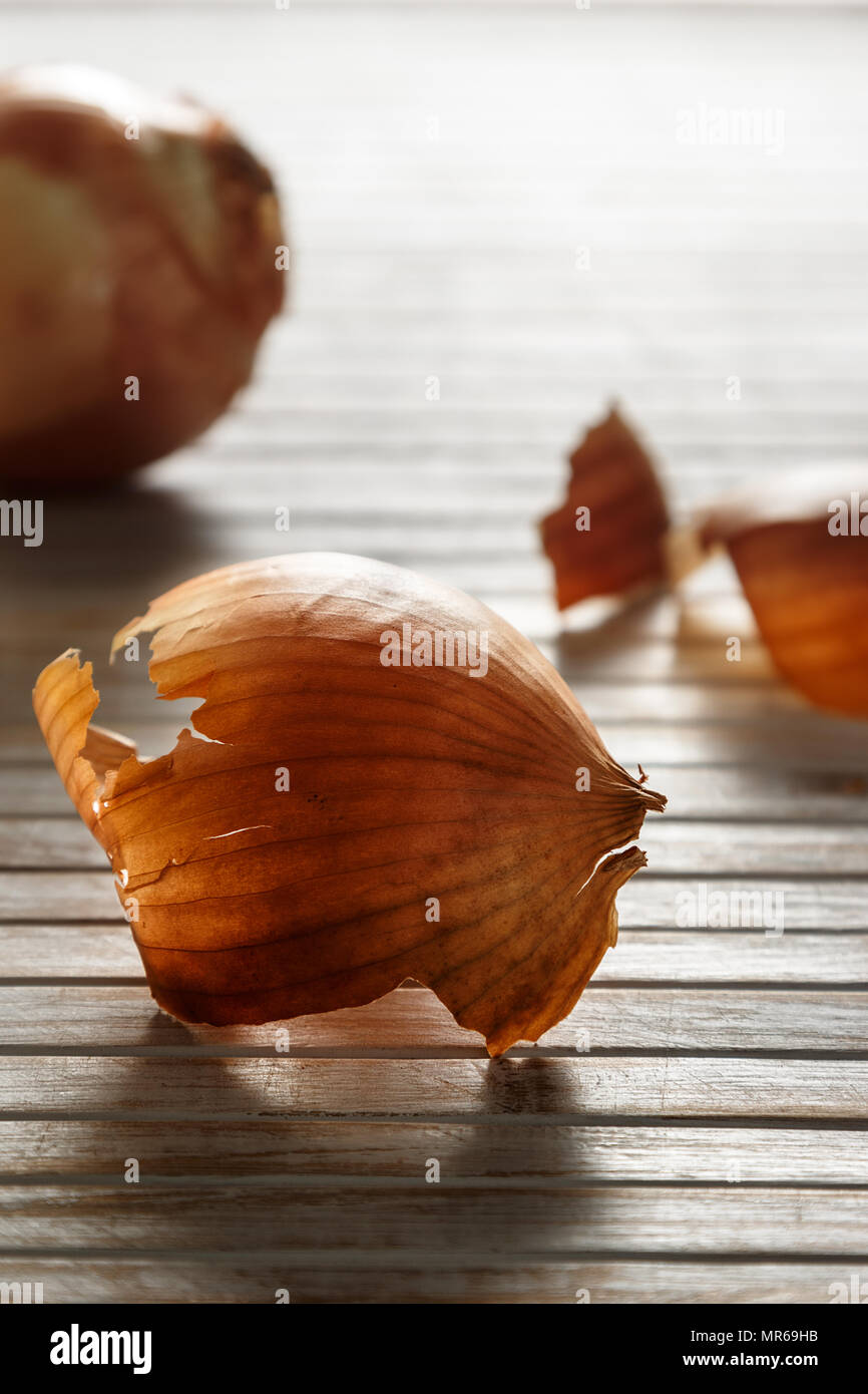 Onion skin hi-res stock photography and images - Alamy