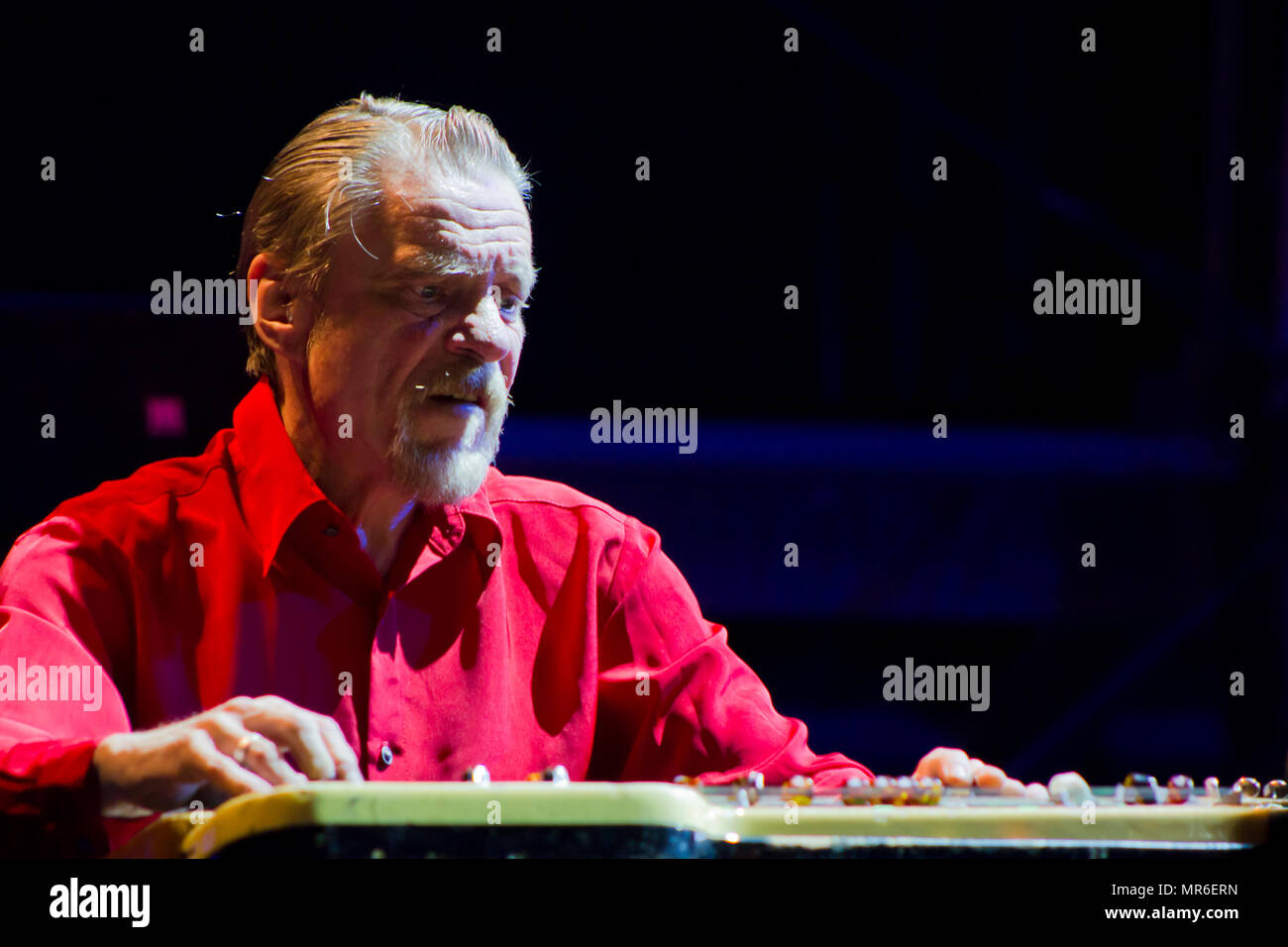 Singing Swans High Resolution Stock Photography and Images - Alamy