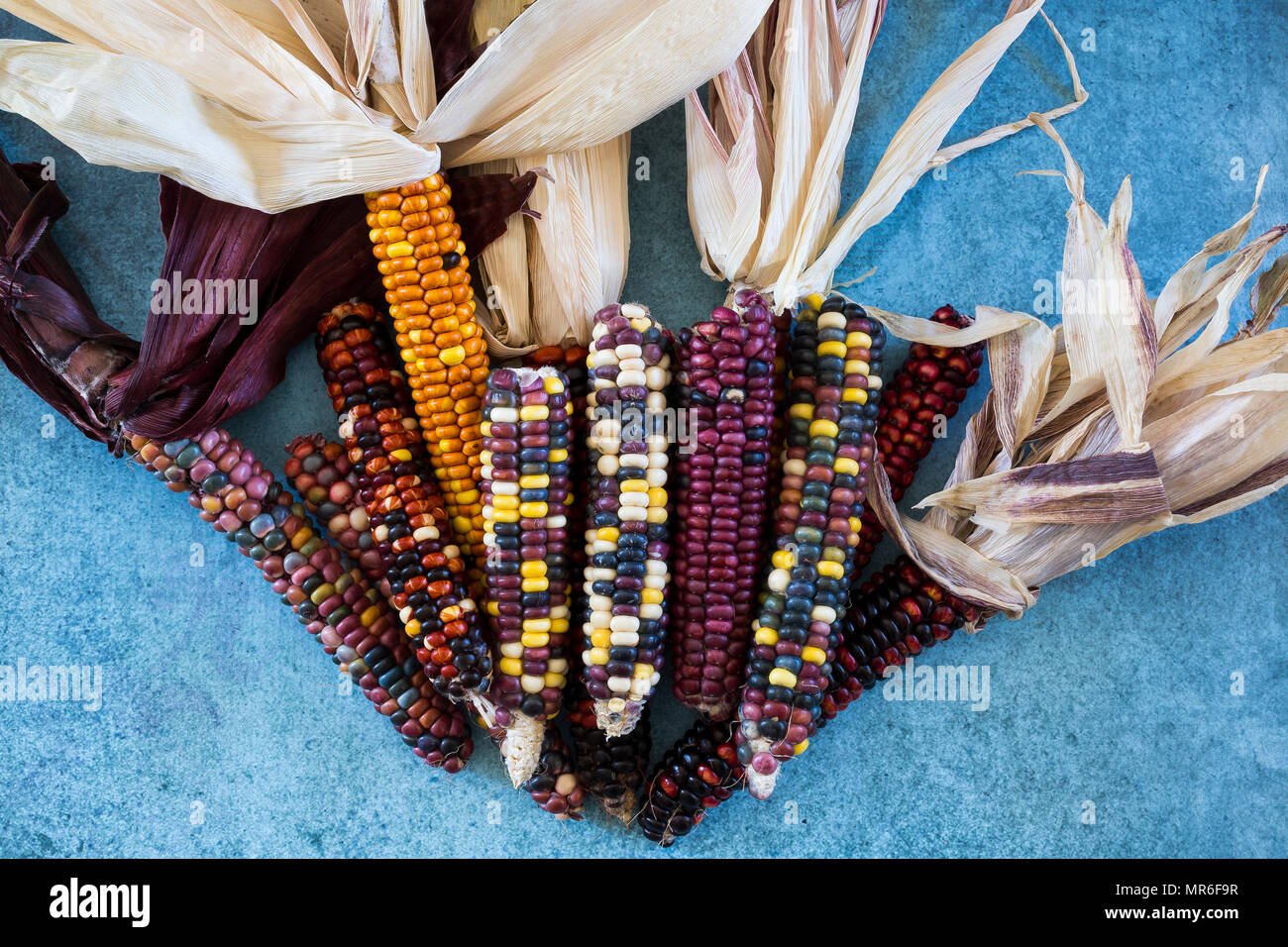 Coloured corn hi-res stock photography and images - Alamy