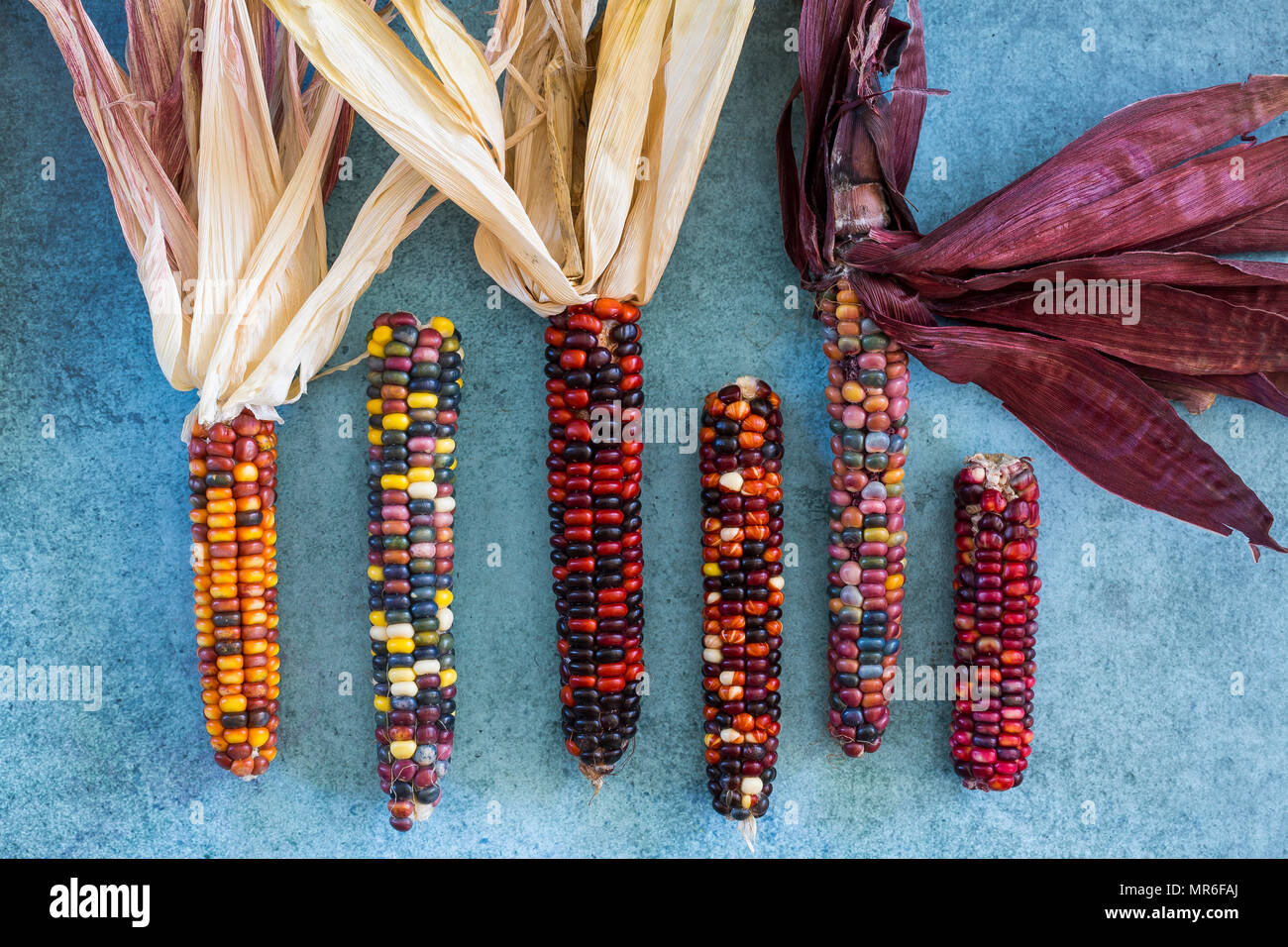 Coloured corn hi-res stock photography and images - Alamy