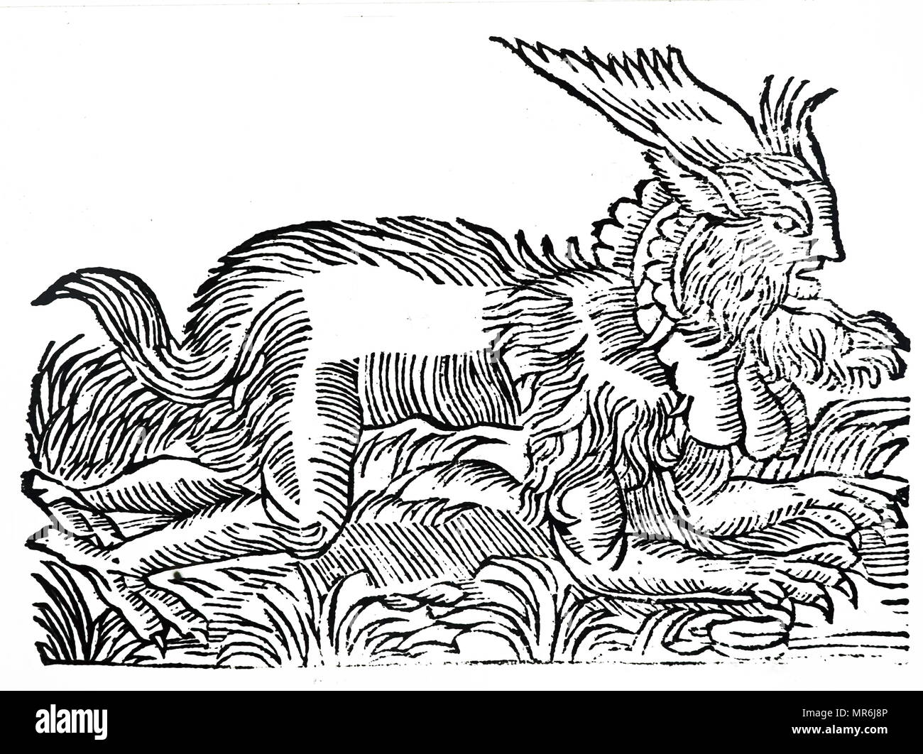 Werewolf historical hi-res stock photography and images - Alamy