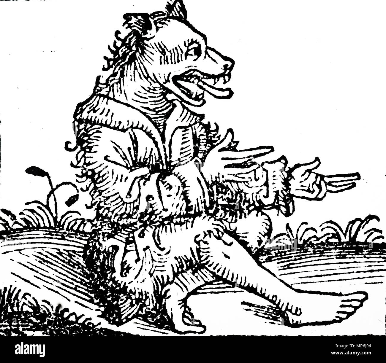 Woodblock engraving depicting a dog-headed man, believed in ancient ...