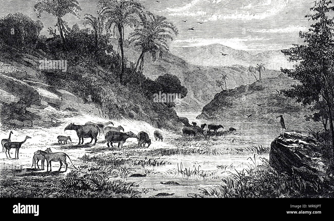 Tertiary period hi-res stock photography and images - Alamy