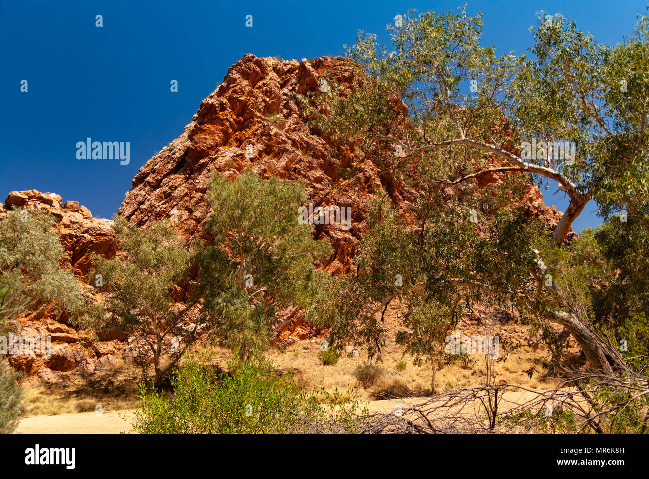 Heavitree park hi-res stock photography and images - Alamy