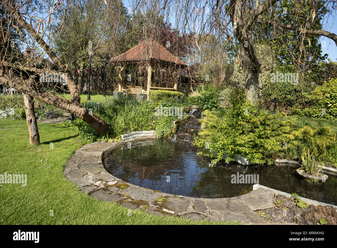 Pretty duck hi-res stock photography and images - Alamy