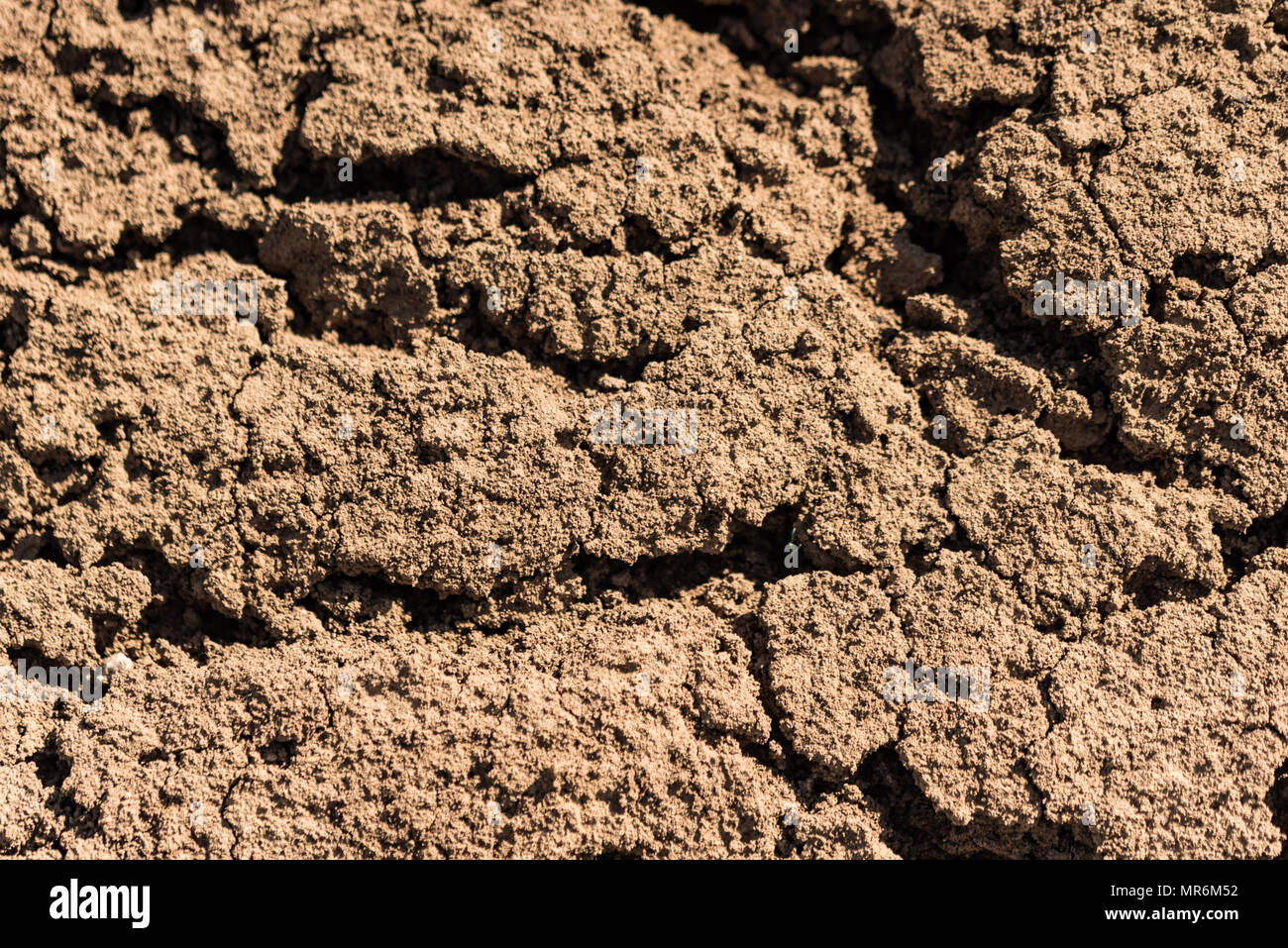 Dirty Soil Stock Photos & Dirty Soil Stock Images - Alamy