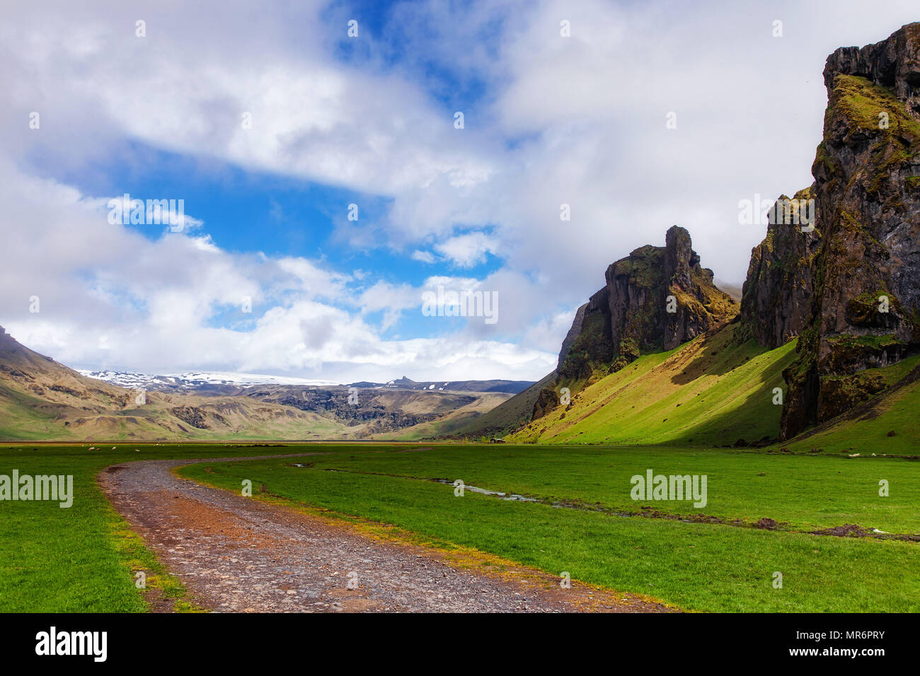 Gravel path with lush green grass leading through the frame Stock Photo ...
