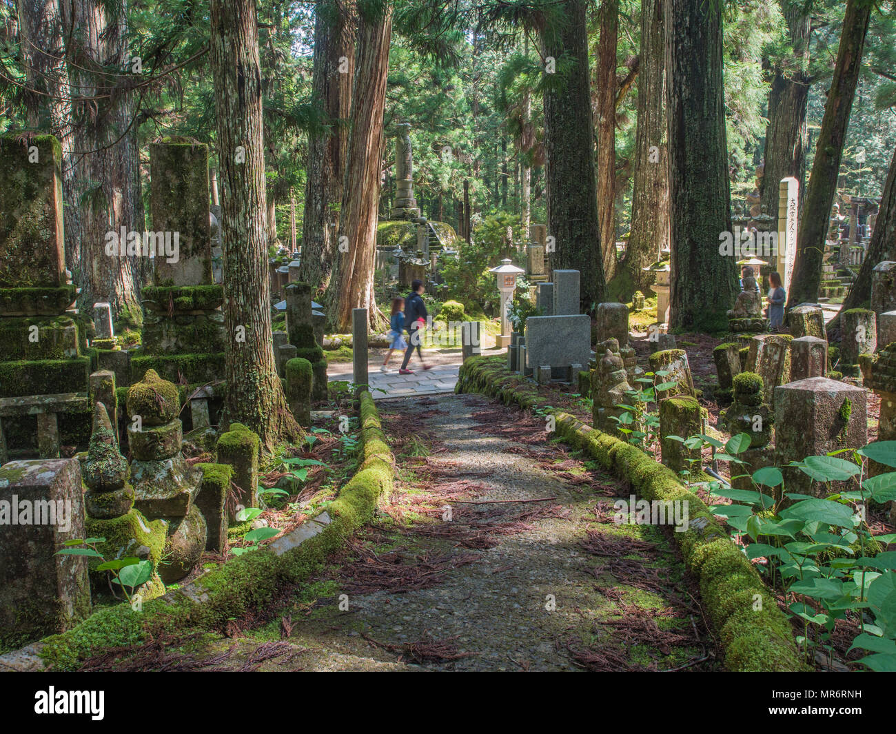 Pathway among gorinto five-tiered stupas, memorial gravestones, and ...