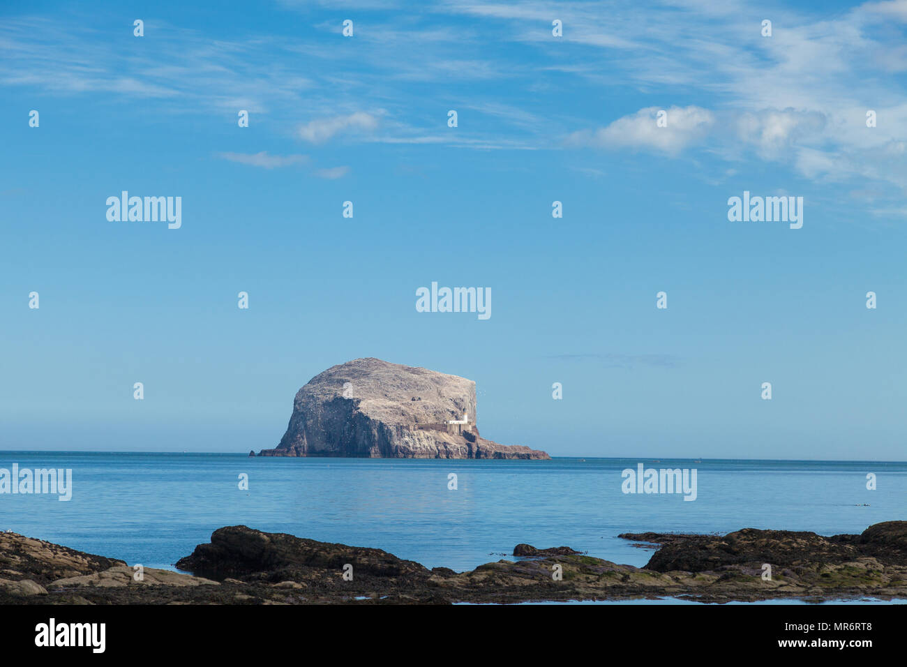Bass Rock near North Berwick East Lothian Scotland Stock Photo - Alamy