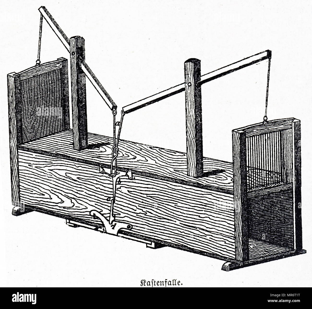 Ancient Chinese Dragon Backbone Pump