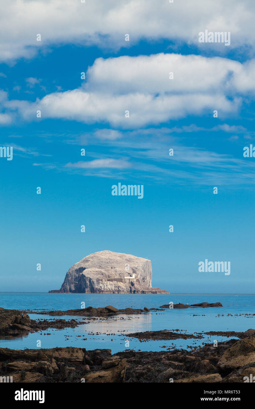 Bass Rock Near North Berwick East Lothian Scotland Stock Photo - Alamy