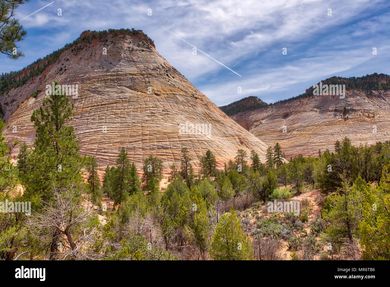 Checkerboard patterns hi-res stock photography and images - Alamy