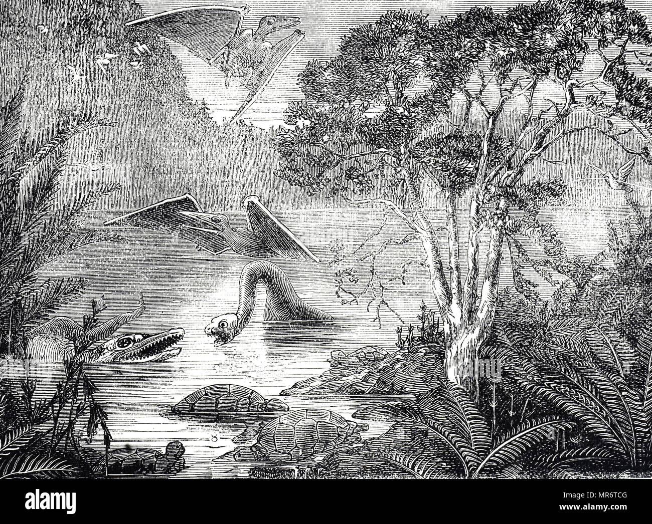 Cretaceous hi-res stock photography and images - Alamy